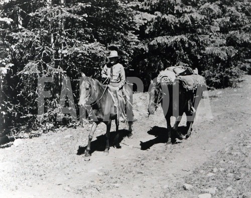 Vintage Press Photo Horses, New Mexico, Ranger On Horse, Print 20 X ...