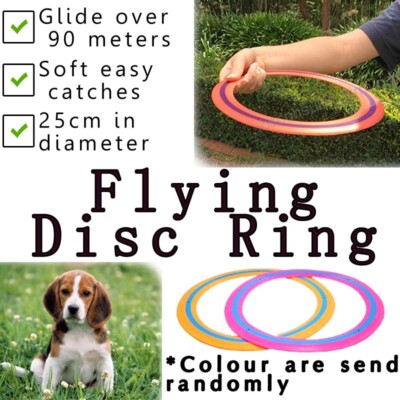Outdoor Beach Frisbee Disc Mega Flying Ring Aerobie 25cm Sports Fun ...