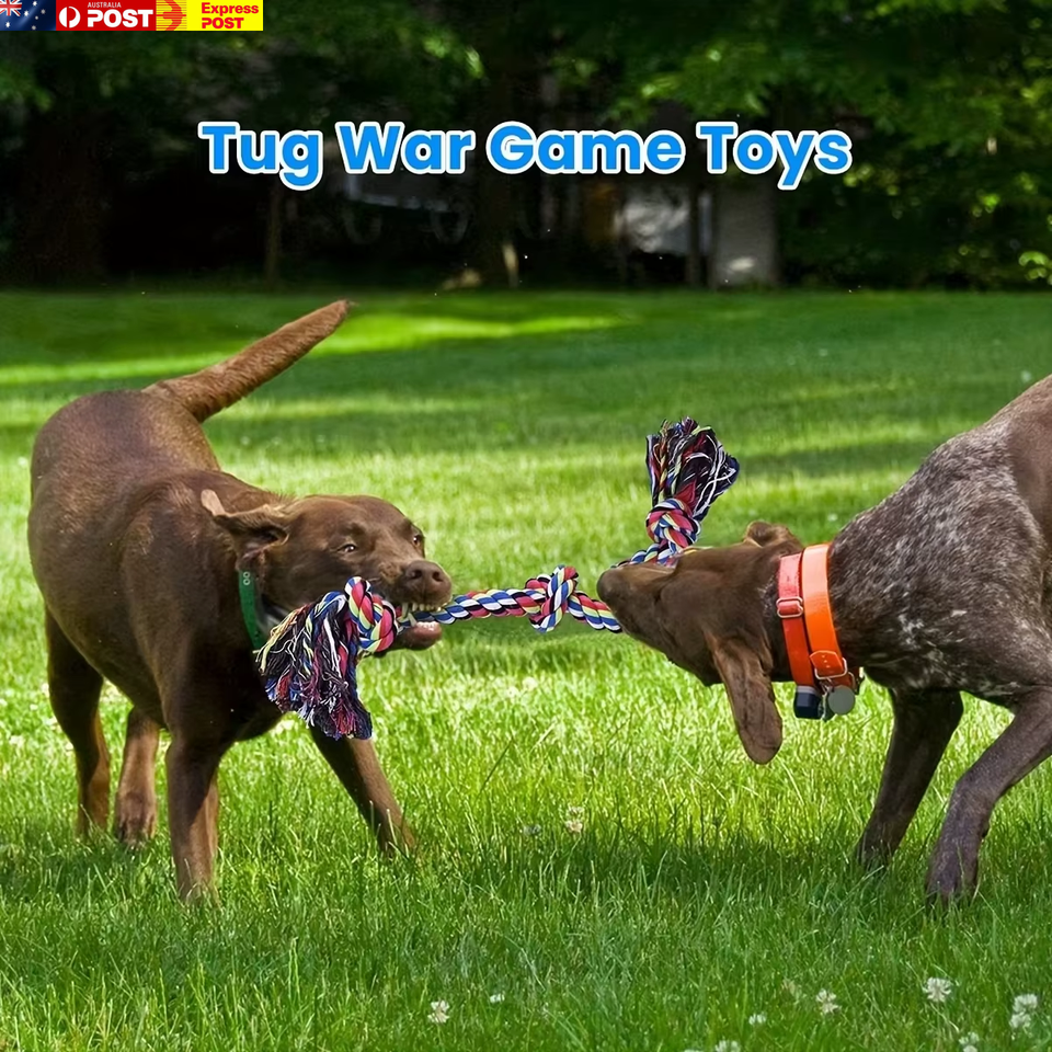 2Pcs Heavy-Duty Rope Knot Dog Toys for Large Breeds – Dental Health ...