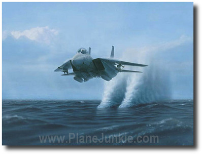 Tomcat! (Artist Proof) by Dru Blair - F-14 Tomcat - Aviation Art Prints ...