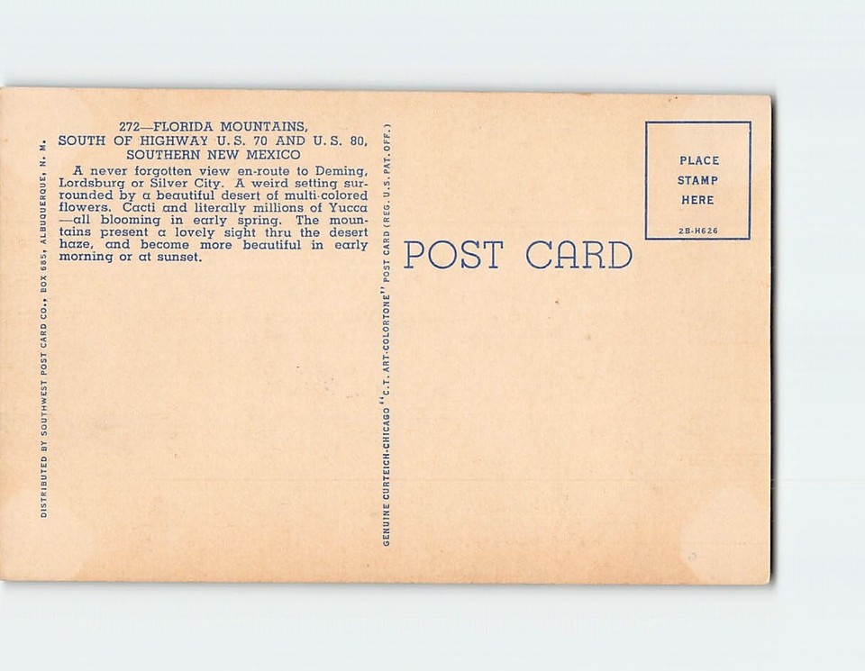 Postcard South of Highway US 70 & 80 Southern NM USA | eBay