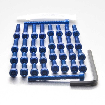 Screws Kit Engine Trophy 1200 96-98 Blue | eBay Australia
