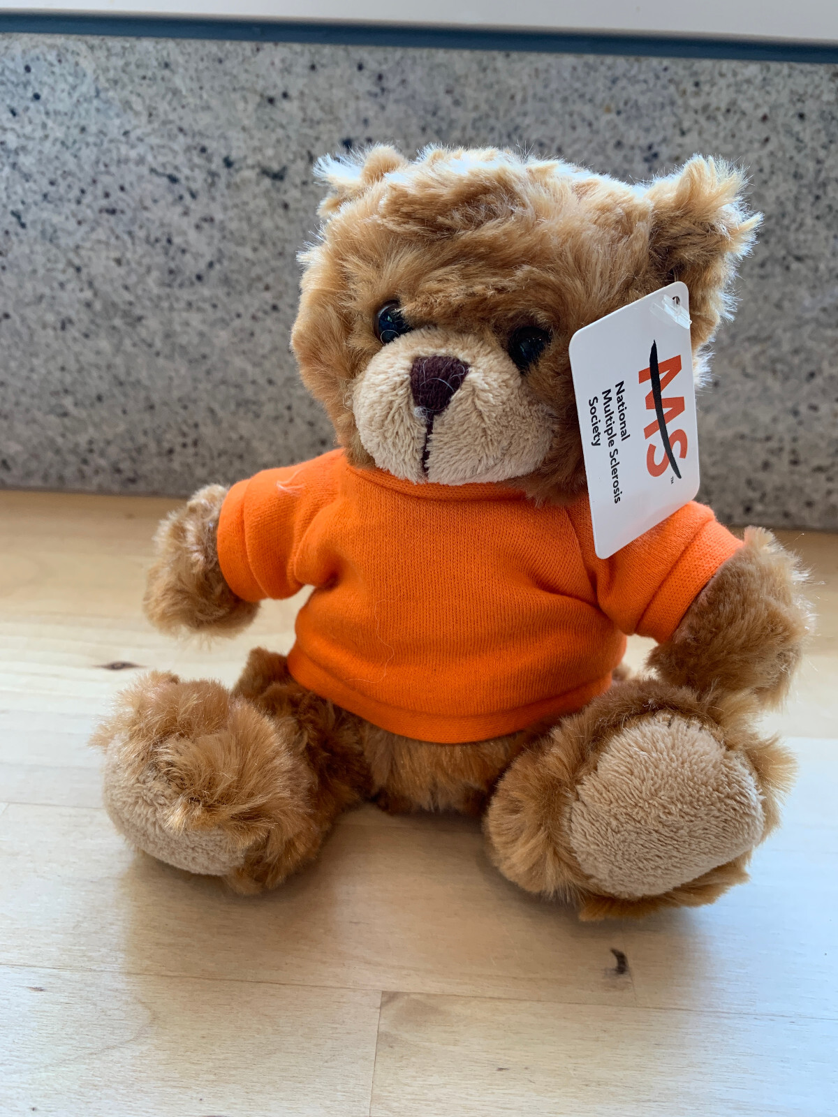 Plushland MS Bear - Orange Shirt - 6", Stuffed Animal - Multiple ...