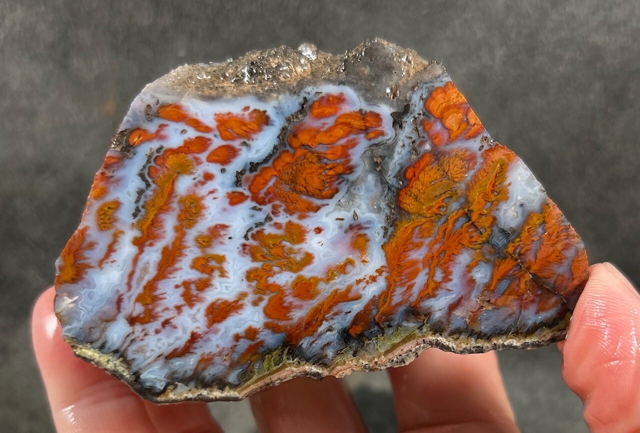 Wingate Pass Plume Agate Faced Rough - California! | eBay