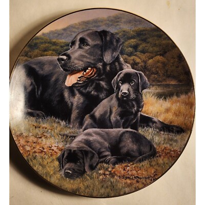 Black Labrador Collector Plate | eBay