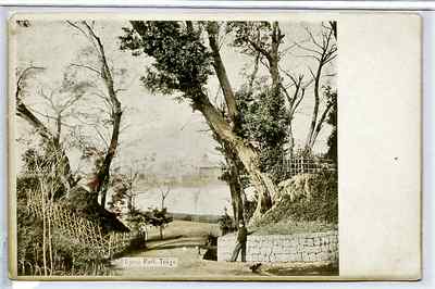 Vintage Uyeno or Ueno Park, Pond Trees Taito, Toyko, Japan, Policeman ...