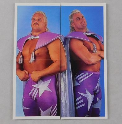 The Beverly Brothers WWF Merlin Sticker Card Wrestling Wrestler WWE ...