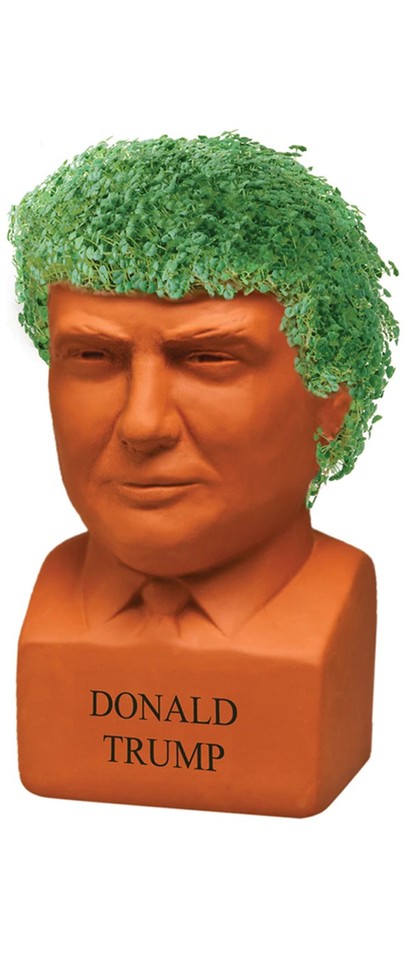 Chia Pet Planter - Donald Trump 641113614083| eBay