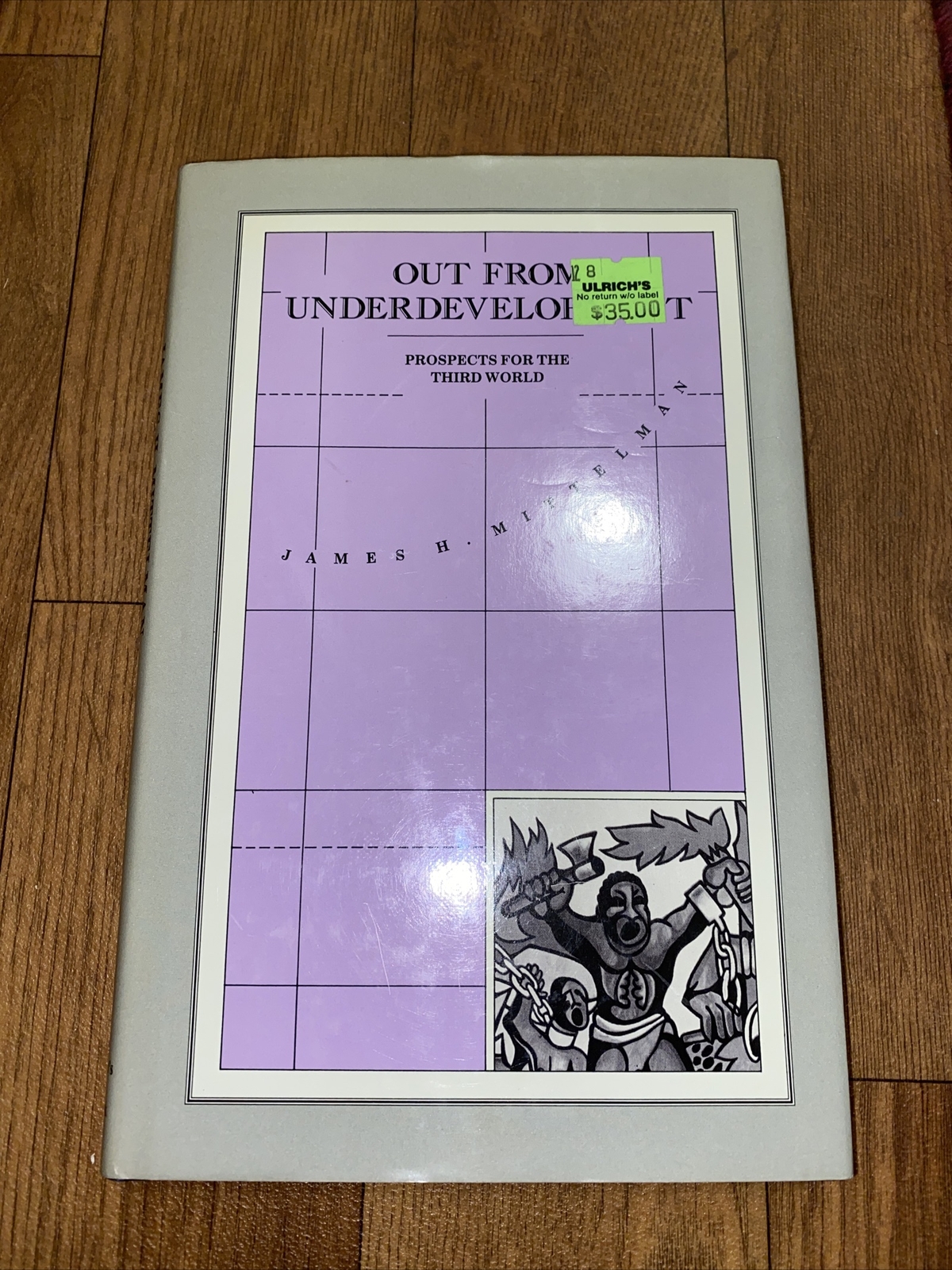 Out from Underdevelopment : Prospects for the Third World by James H ...