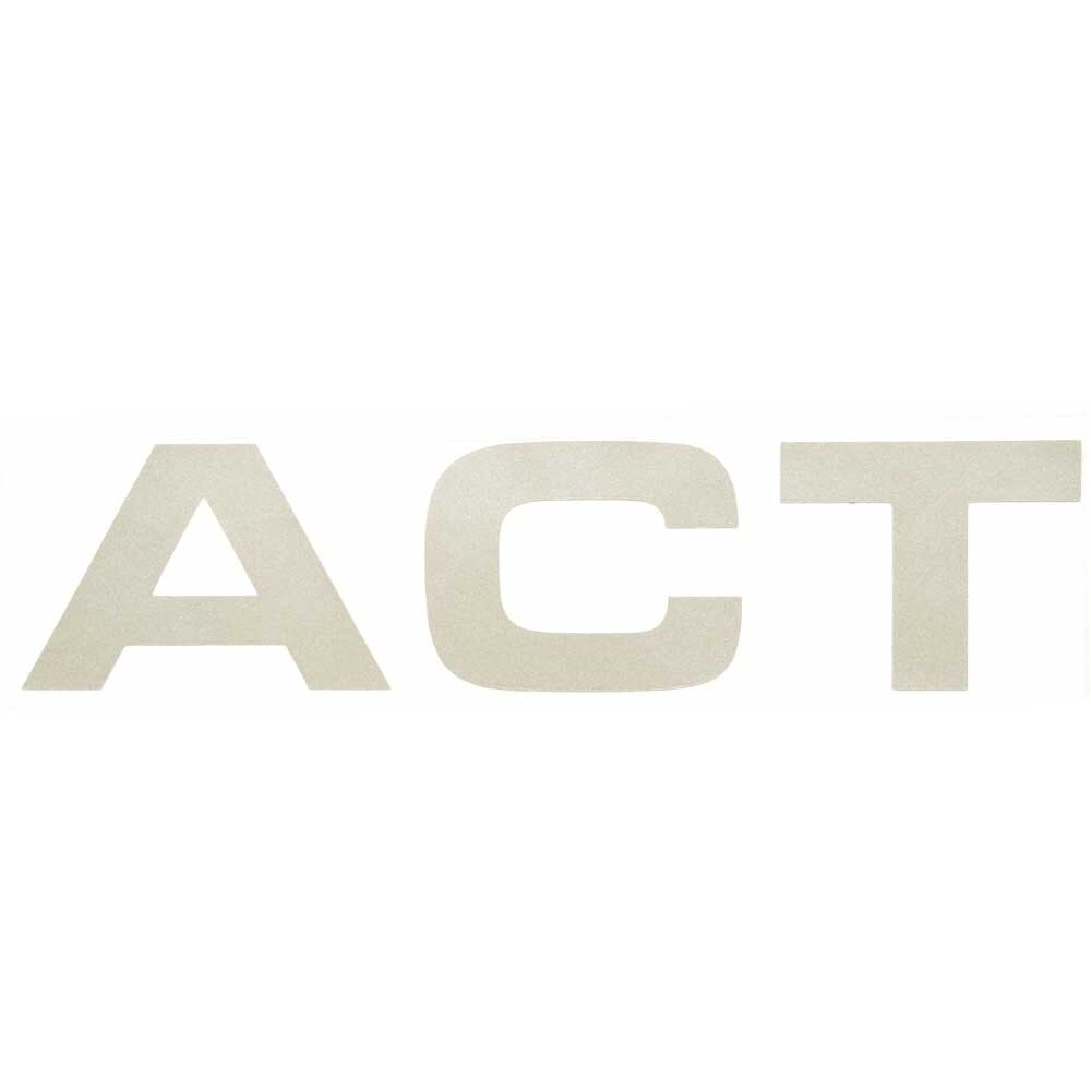 Avalon Boat ACT Decal 085077PM | 4 3/4 x 1 1/8 Inch Metallic Pewter | eBay