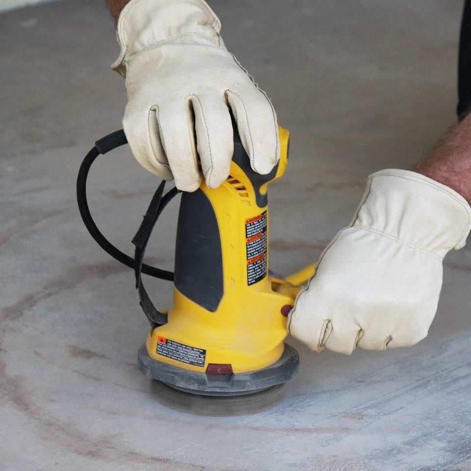 Wagner Spraytech 0513041 Paint Eater Replacement Disc Color May Vary ...