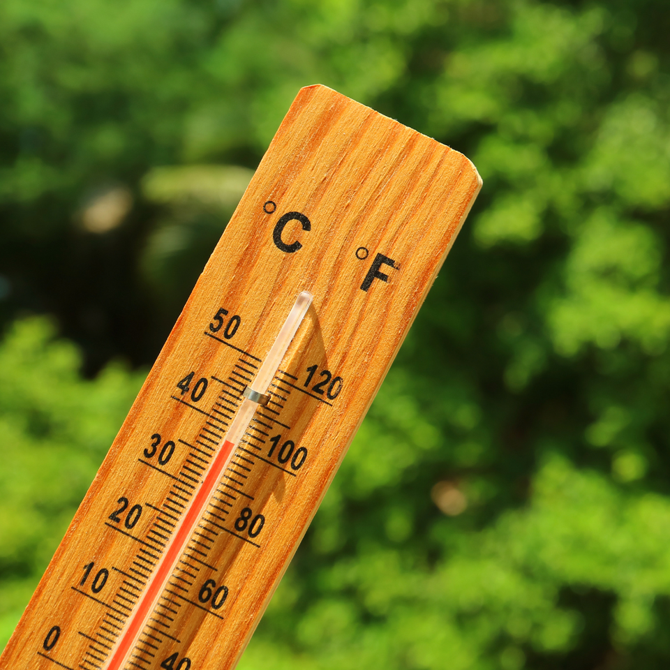 Traditional Wooden Room Thermometer Measure Room Temperature Indoor or ...