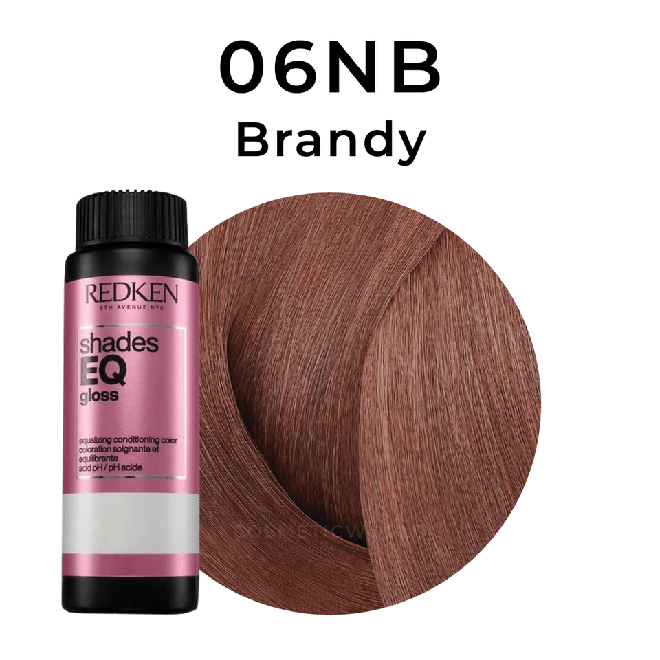 Redken Shades EQ Gloss Demi Permanent Hair Color 2 oz / 60 ml - 06NB ...