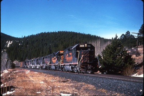 D&RGW Rio Grande 3131 Pinecliff, CO 1991 duplicate slide | eBay