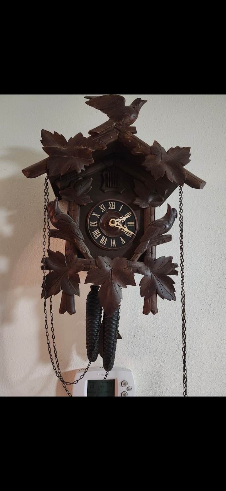cuckoo clock vintage | eBay
