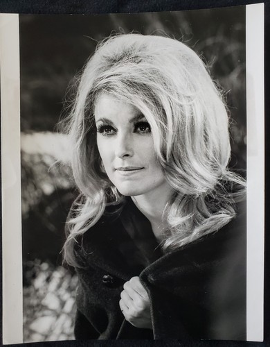 1965 Sharon Tate Eye Of The Devil Gerard Decaux Paris 8x10 Portrait ...