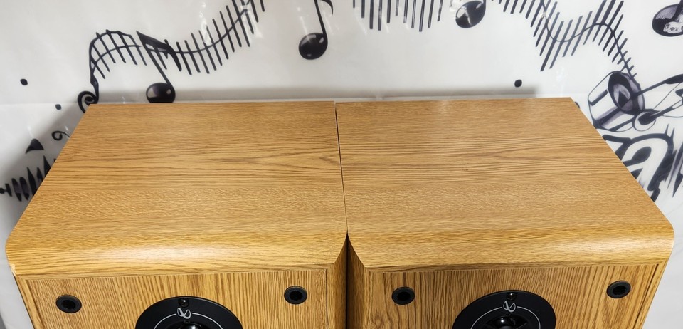 Solid Oak Enclosed Infinity SL 40 Floor Speakers Pair. Great condition ...