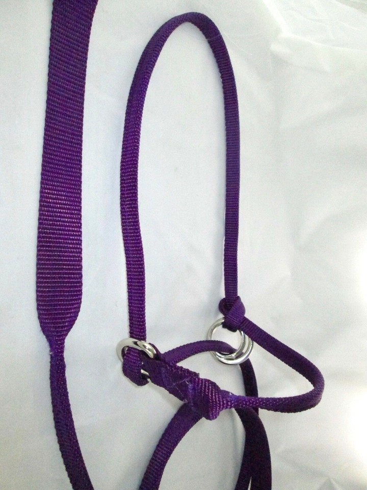 Halter All EXTRA SMALL Miniature Foal, Mini Endless Adjustable Horse ...