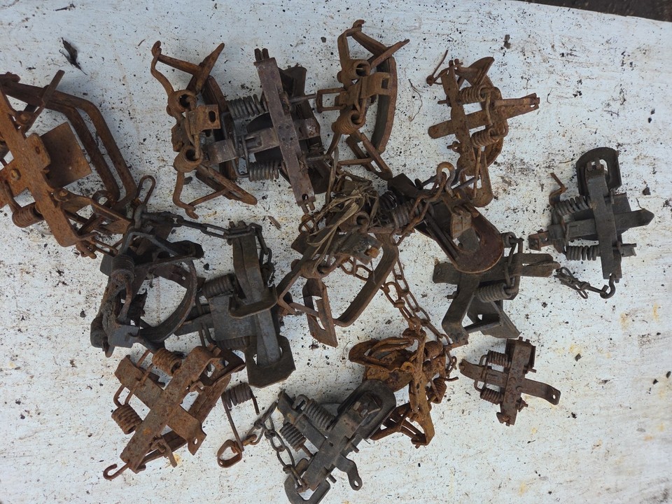 Parts Repair Lot Victor Etc No 1 To 3 Coil Spring Traps Trapping ...