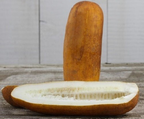 RED HMONG cucumber 's 25 seeds | eBay