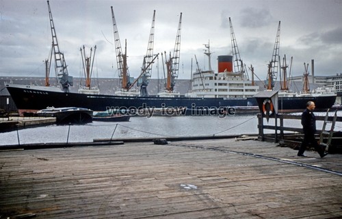 SQ0464 - Glen Line Cargo Ship - Glenogle , built 1962 - photograph 6x4 ...