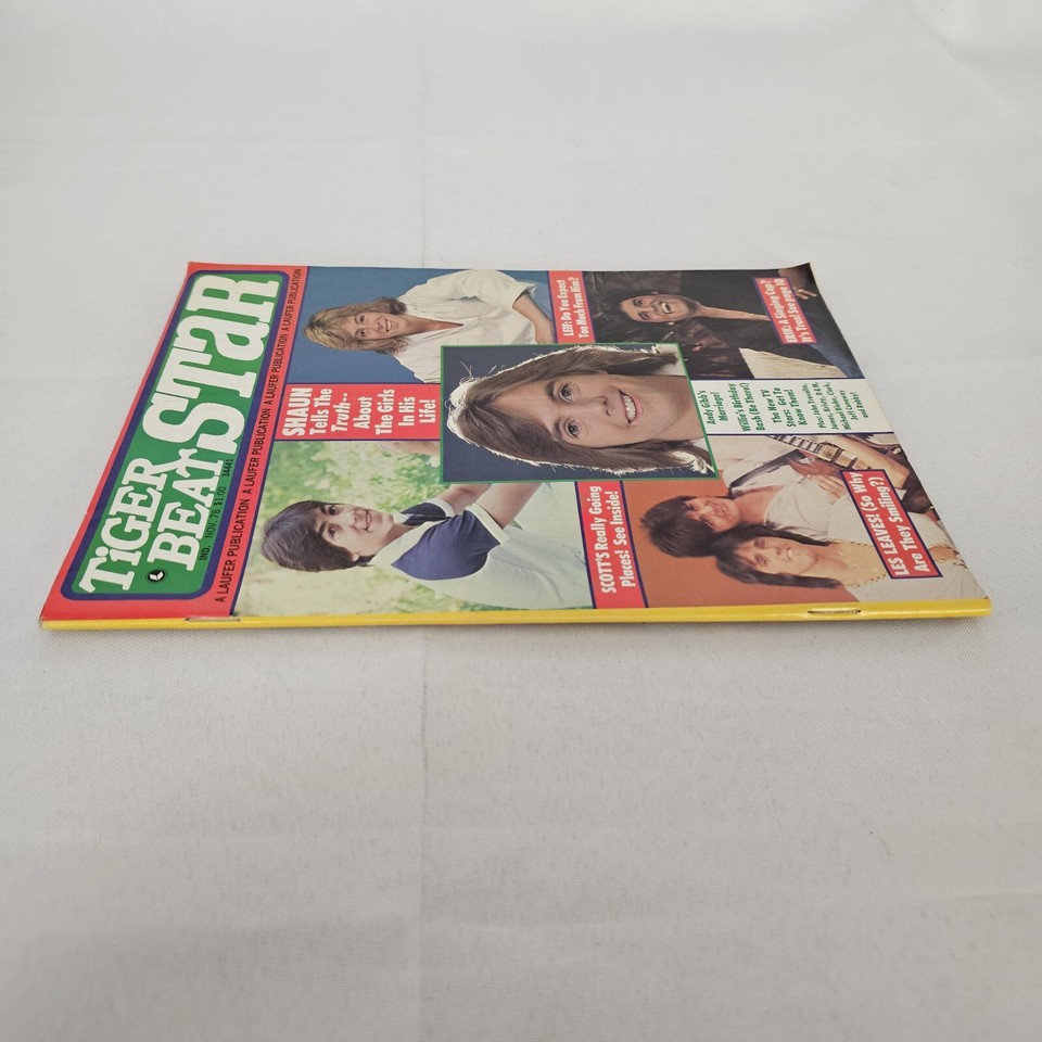 1978 November TIGER BEAT STAR Magazine Leif Garrett Shaun Cassidy With ...