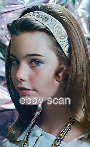 THE PARTRIDGE FAMILY PRETTY SUSAN DEY 8X10 PHOTO 120 | eBay