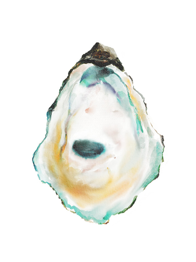 Shell Watercolor