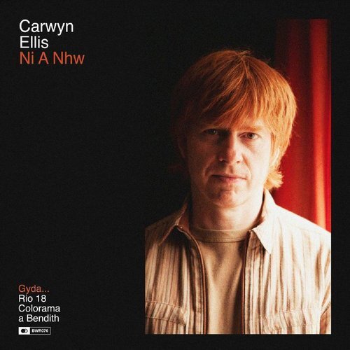 Carwyn Ellis Ni A Nhw LP Vinyle BWR076 NEUF | eBay