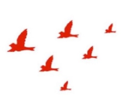 Birds Flying Wall Art Wall Stickers 12 Vinyl Decals RED Plane Removable ...