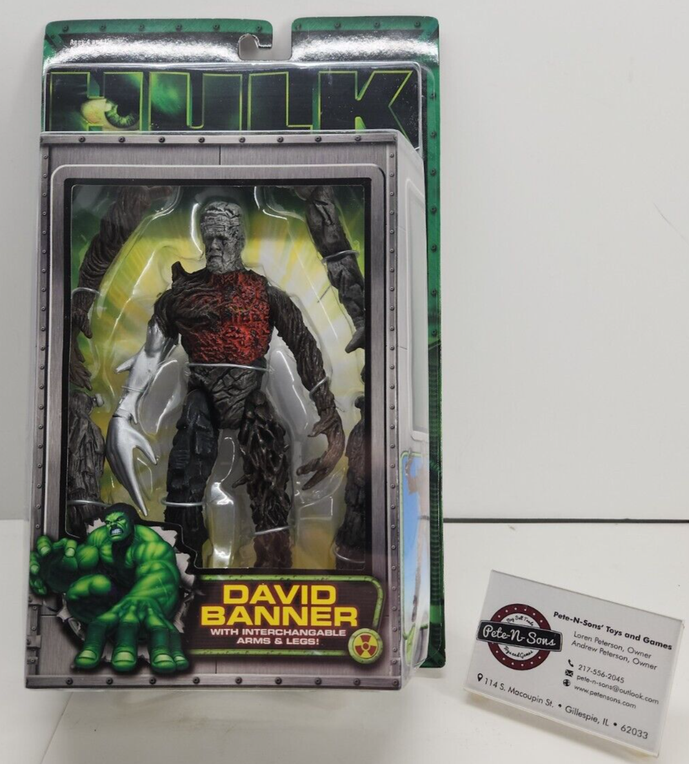 Hulk 2003 David Banner David Banner Figure (2003) | Ratchet's Hulk