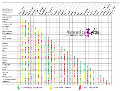 Freshwater Fish Compatibility Chart 40 Coolest Freshwater Aquarium