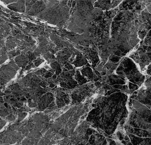 Black Marble Effect Vinyl Flooring – Flooring Ideas