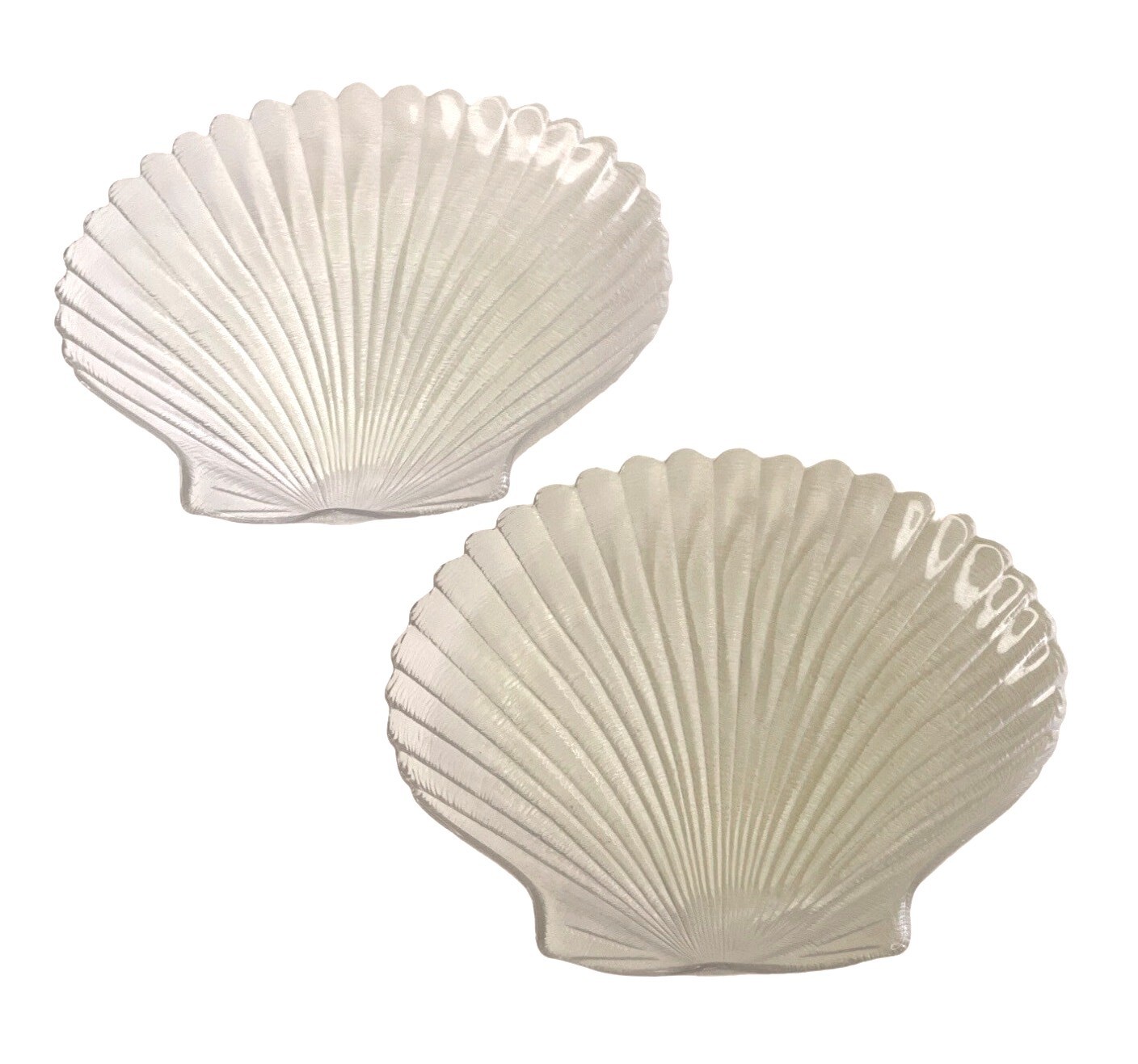Clam Shell Seashell Frosted Plates Clamshell Dish 8" x 7.75" x 1" Set ...