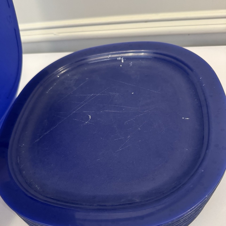 Tupperware Microwave Reheatable Luncheon Plates Tokyo Blue 9.5 inch Set ...