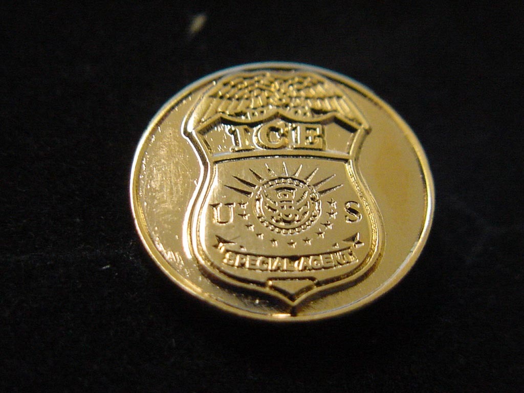 US Immigration & Customs Enforcement ICE lapel pin | eBay