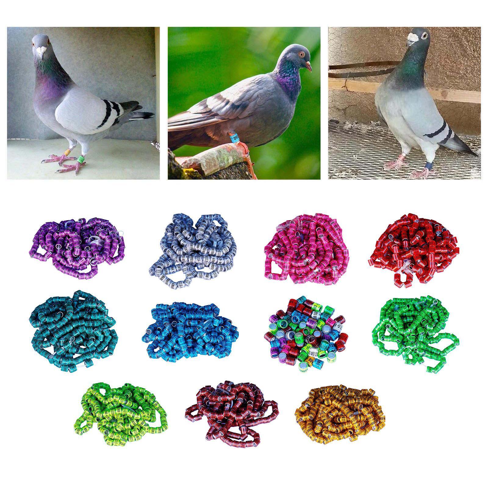 100Pcs Pigeon Leg Rings Aluminum Foot Bands for Quail Lovebird Bantam ...