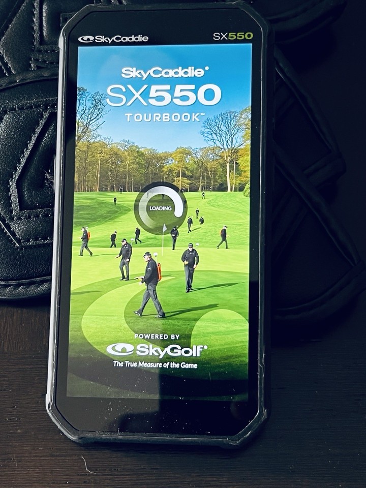 SkyCaddie SX500 Golf GPS Rangefinder with HD Touch Screen | eBay