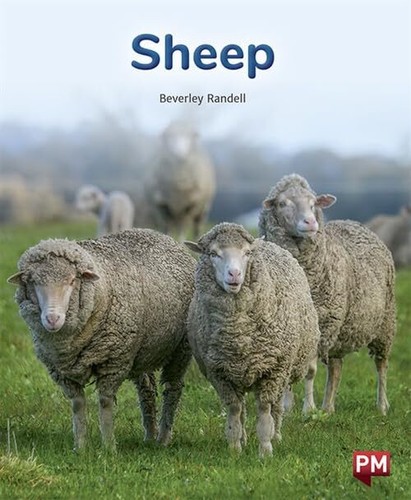 Clive Harper Beverley Randell Sheep (Poche) 9780170328920 | eBay