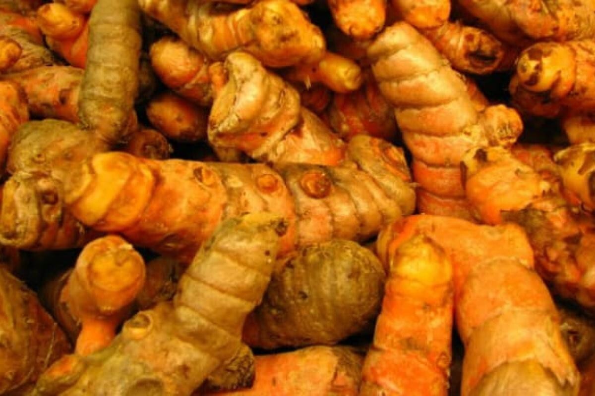 Turmeric Root, Fresh Whole Turmeric Root, Sold by weight . | eBay