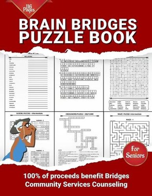 Brain Bridges Puzzle Book by Hayley Venard Paperback Book | eBay