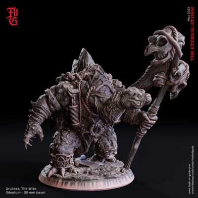 Turtle Folk Wizard Shaman Resin Miniature 28mm 32mm Dungeon Dragons D&D ...
