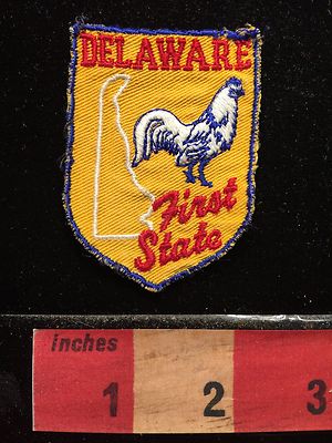 Vintage Delaware FIRST STATE ~ CHICKEN LOGO Patch ~ Fowl Hen Bird 67ZZ ...