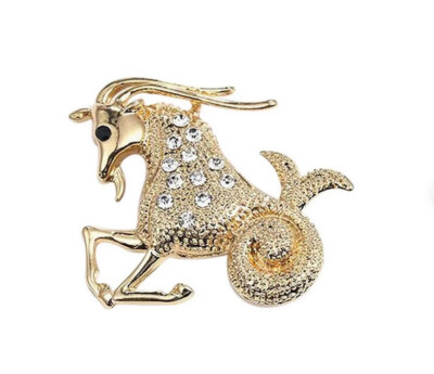 Gold Steel Capricorn Zodiac Sign Jewelry Brooch. | eBay Australia