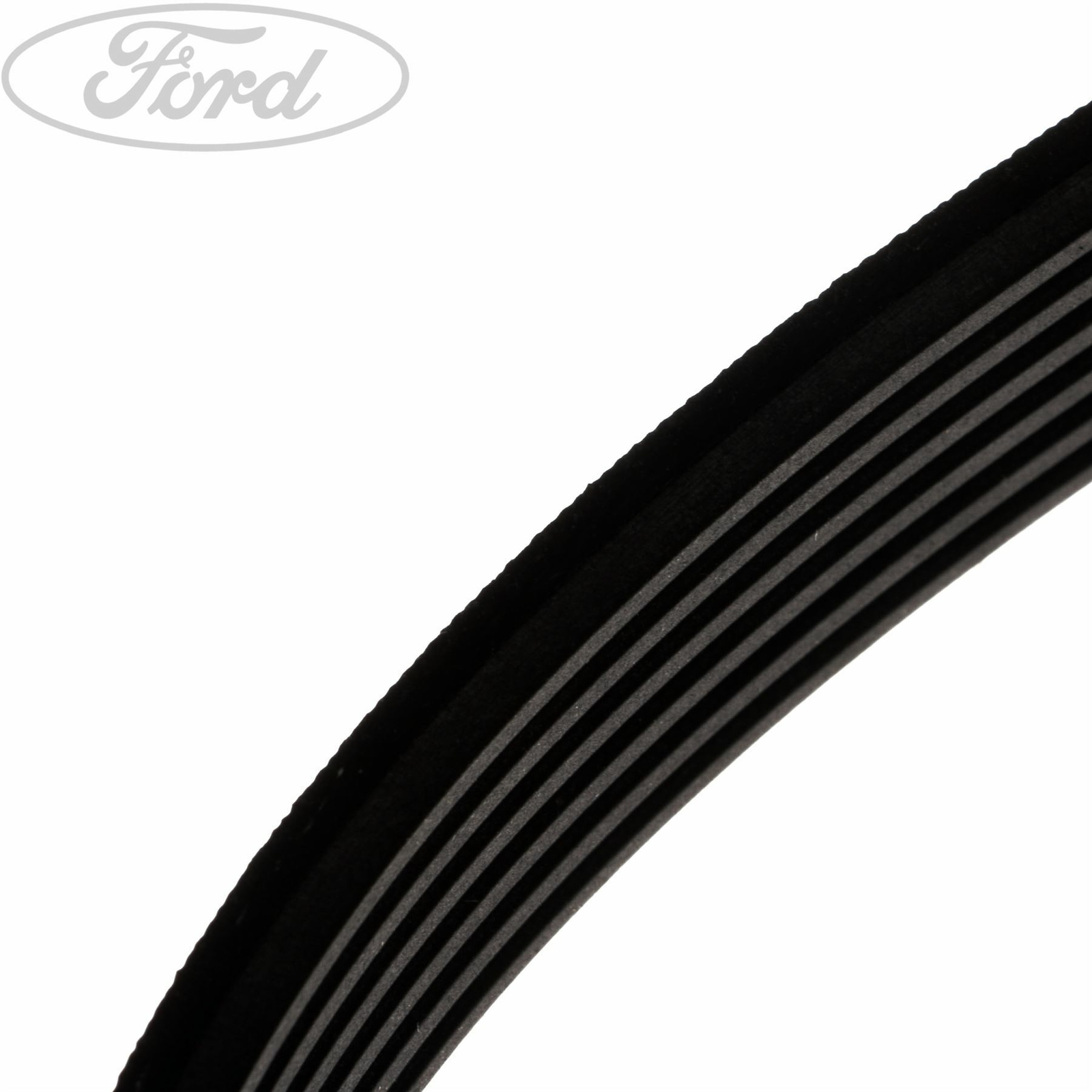 Genuine Ford Fiesta Mk7 Mk8 1.2 1.4 1.6 16v Drive Belt V-Ribbed 1830909 ...