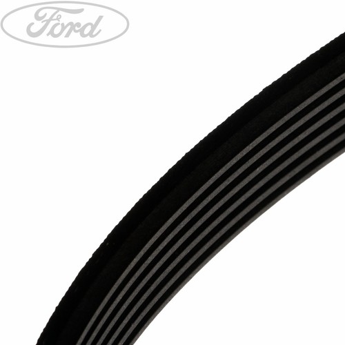 Genuine Ford Fiesta Mk7 Mk8 1.2 1.4 1.6 16v Drive Belt V-Ribbed 1830909 ...