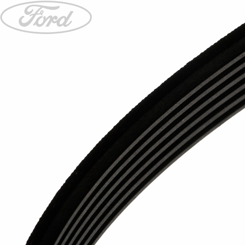 Genuine Ford Fiesta Mk7 Mk8 1.2 1.4 1.6 16v Drive Belt V-Ribbed 1830909 ...