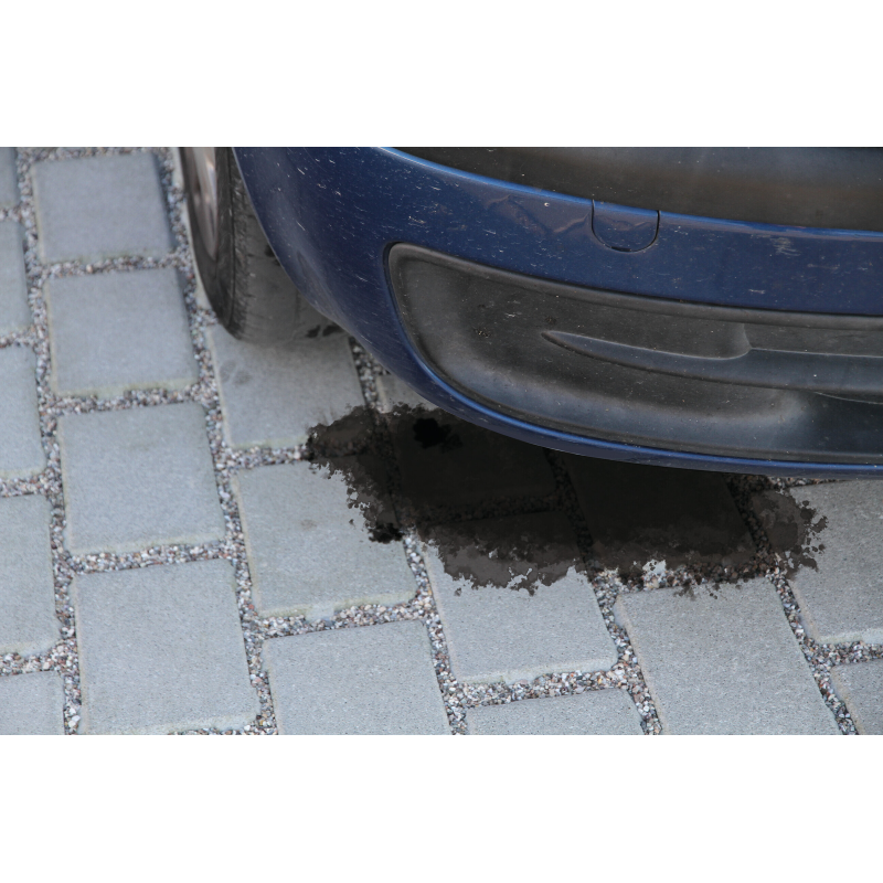 Sepiolite Absorbent 20kg Natural Professional Liquid Oil Petrol Asphalt