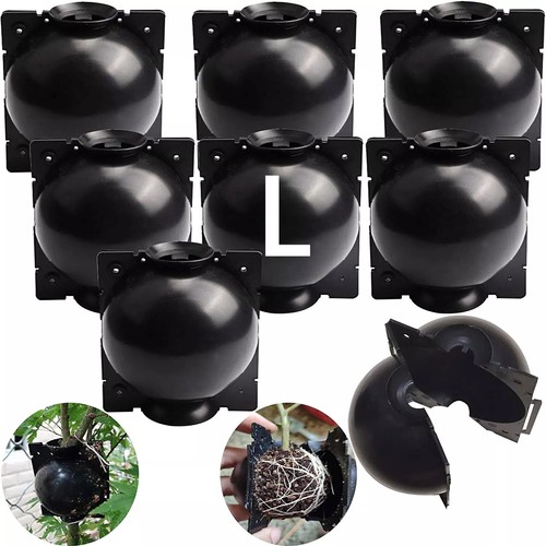 8PCS 8/12cm Plant Rooting Box Root Grafting Air Layering Pod High ...