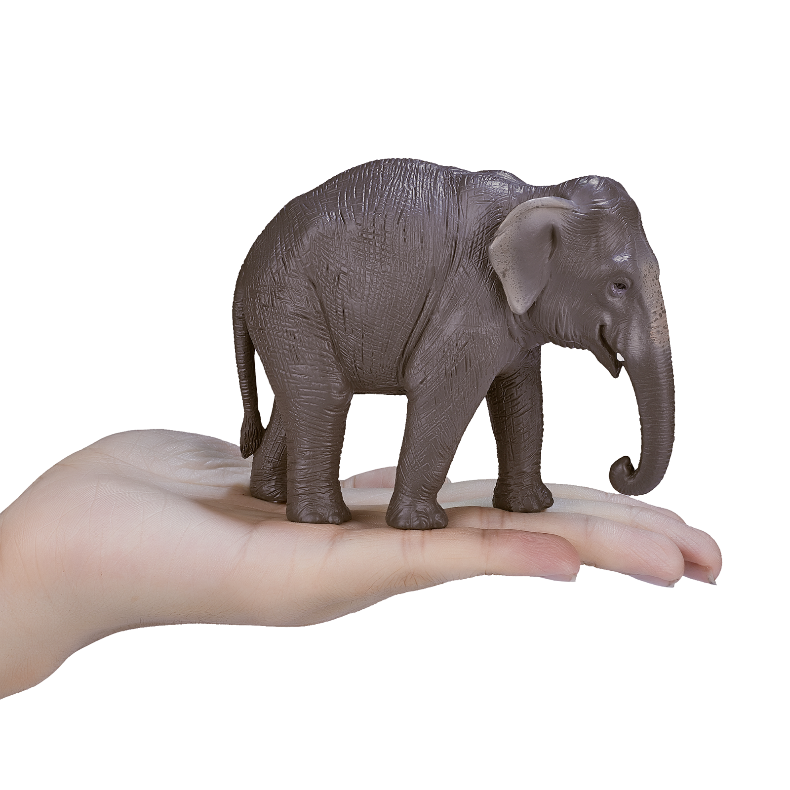 Mojo ASIAN ELEPHANT Wild zoo animal play model figure toy plastic ...